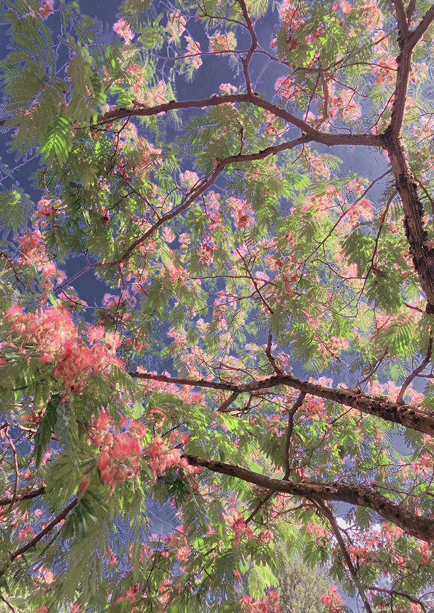 SONJA MARIA SCHOBINGER - Fabian & Claude Walter Galerie